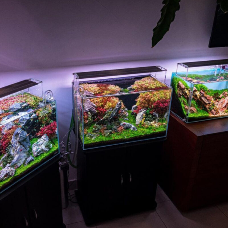 Mシリーズ – WEEK AQUA