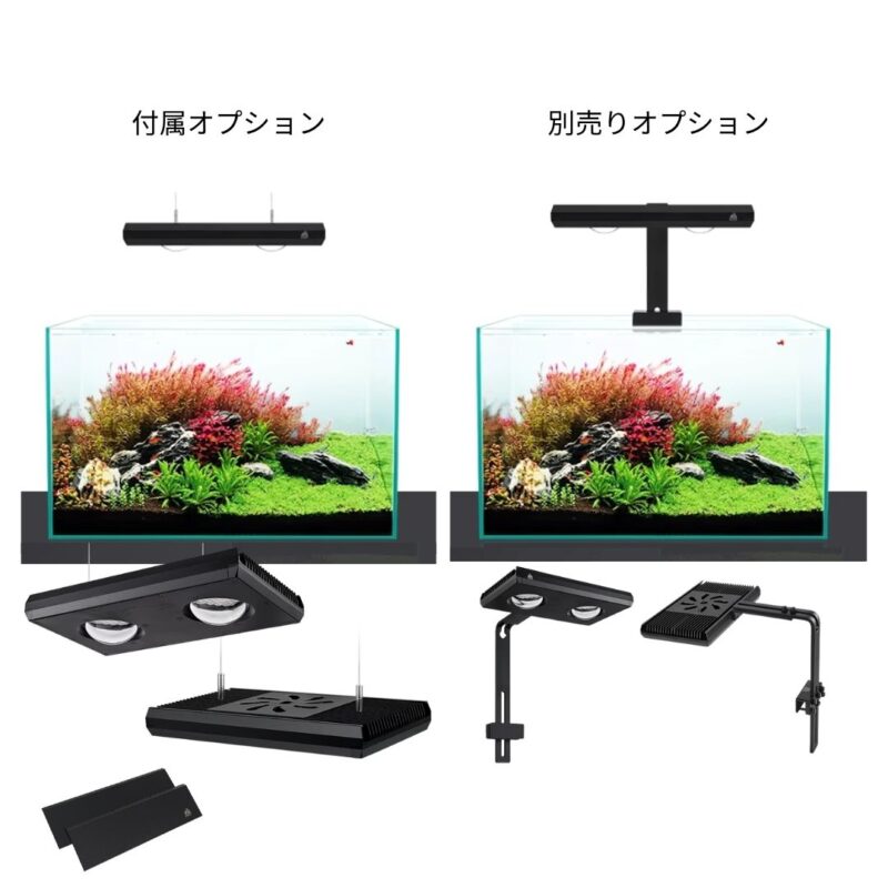 Z250 RGB TH – WEEK AQUA